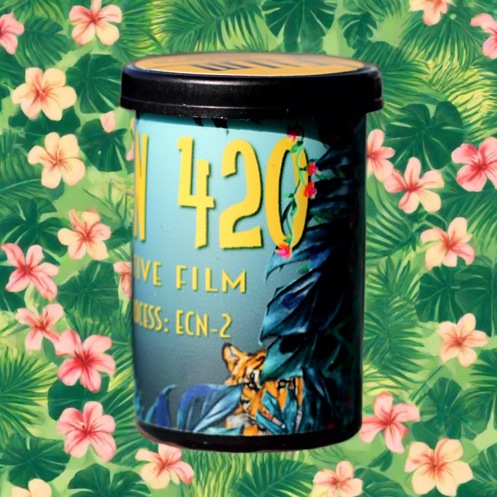 35mm Color Film - Eastman 420 (Low ISO - Expired) – Film Photography ...