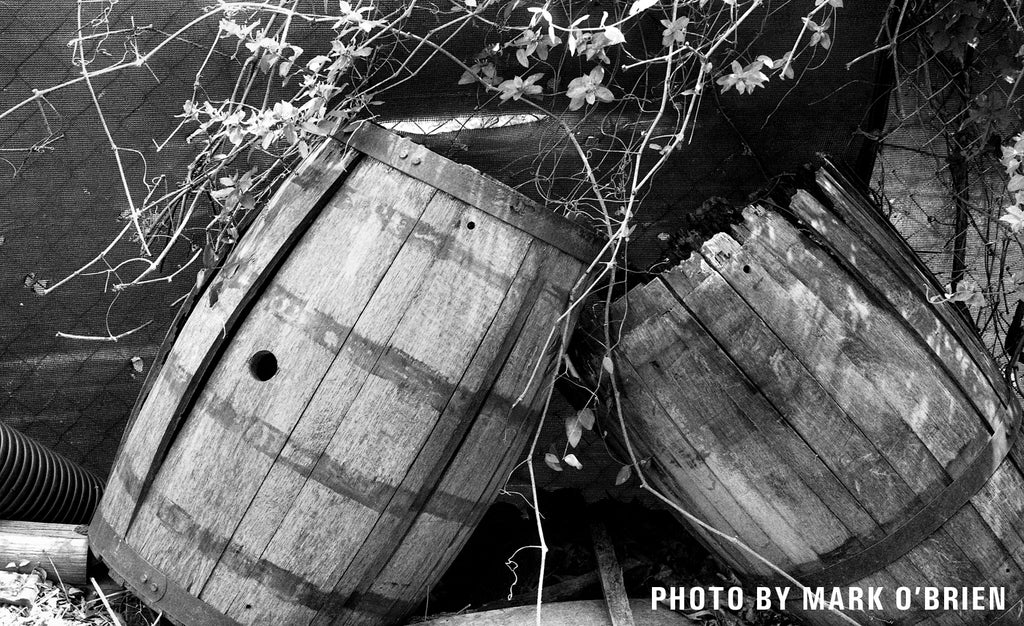 35mm BW Film Kentmere Pan 200 (1 Roll) – Film Photography Project Store