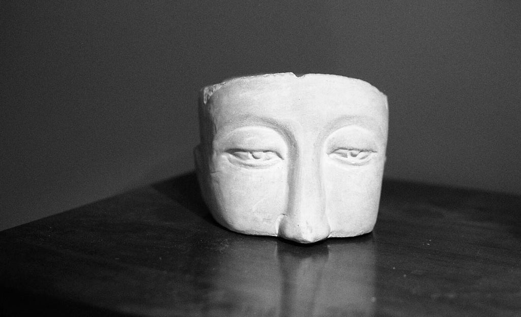 35mm BW Bulk Roll (100 ft) - Kentmere 100 – Film Photography Project Store